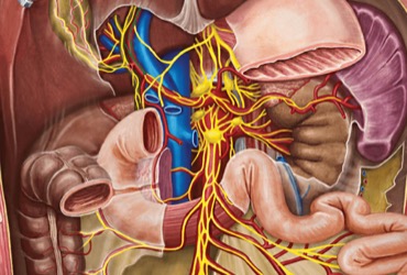 Celiac Ganglia Block Surgery